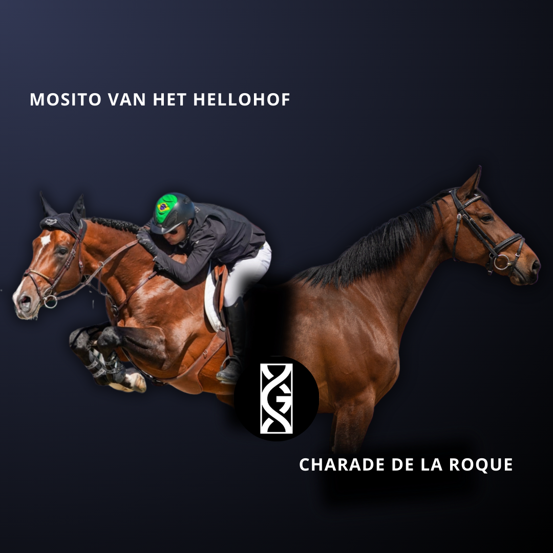 2026 - NS - Mosito Van Het Hellehof x Charade de la Roque | Genesis ...