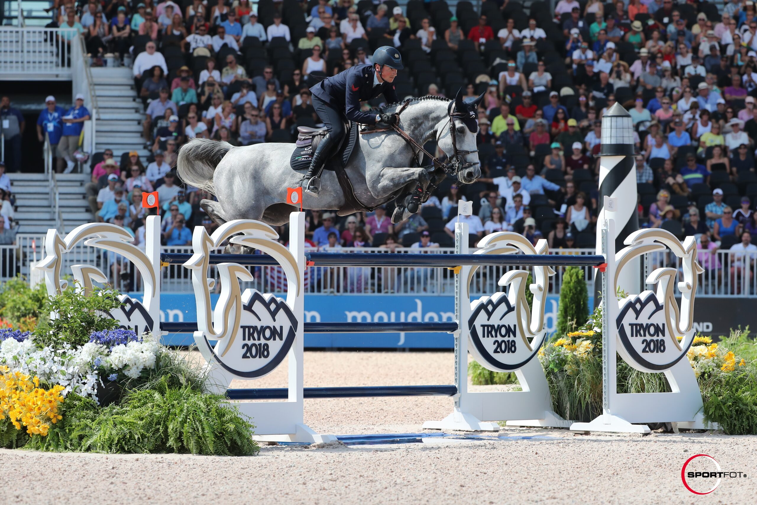 Irenice Horta | Genesis Horse Breeding